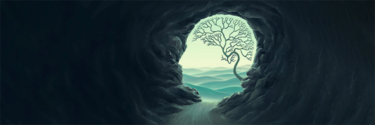 Mindbloom Review | Is Ketamine Life-Changing? – Illuminate Labs